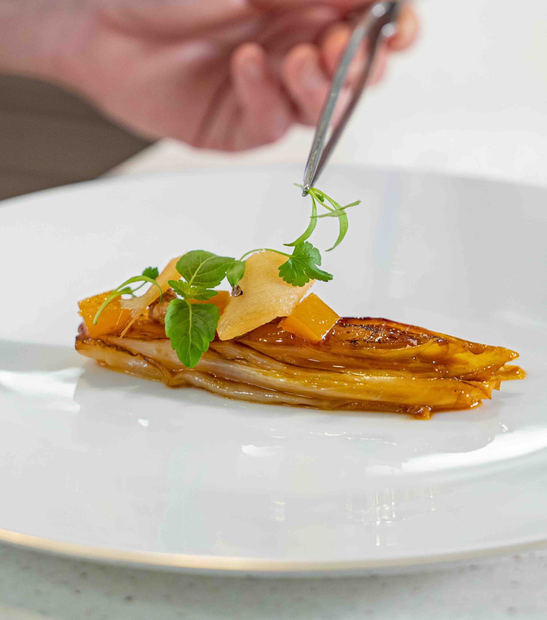 Guide Michelin 2024 : des étoiles plein les yeux | Institut Lyfe